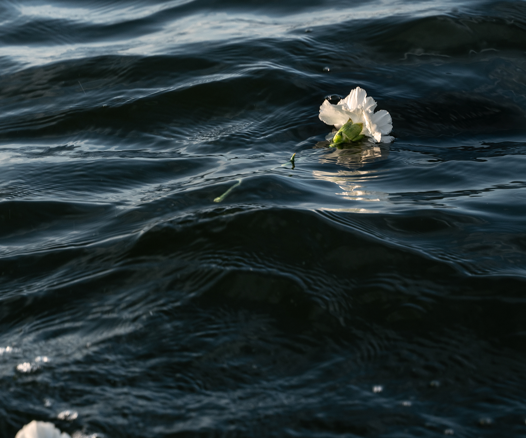 Coco Fusco: Your Eyes Will Be an Empty Word - Herbert F. Johnson Museum ...