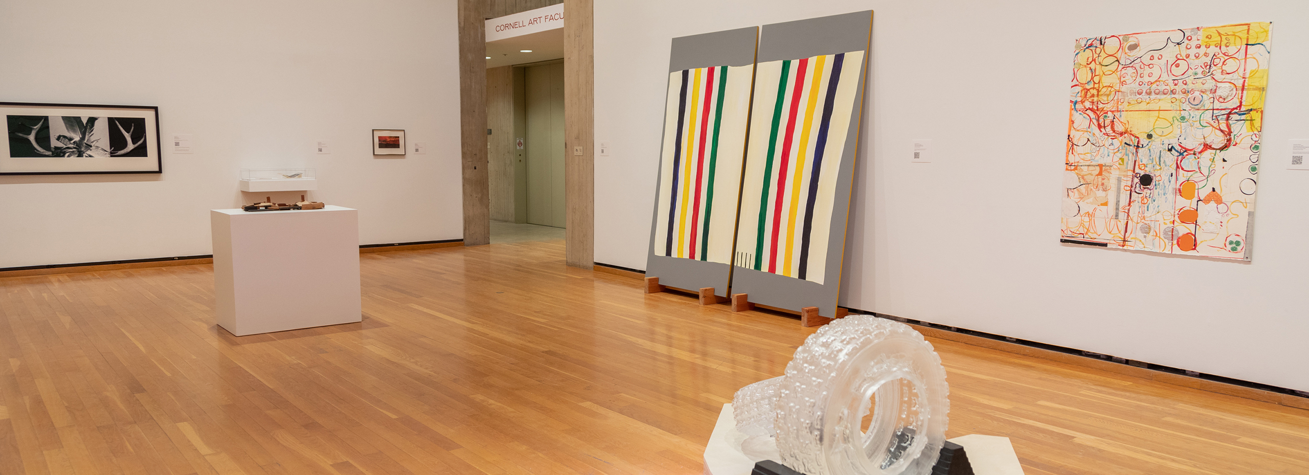 Cornell Art Faculty 2024 - Herbert F. Johnson Museum of Art